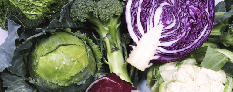 Food Facts: Broccoli’s Wild Roots | BestFoodFacts.org